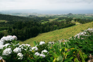 São Miguel travel guide: discover the most-visited Azores island